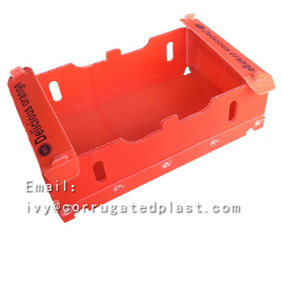 Folding vegetable packaging plastic box PP corrugated plastic fruit box