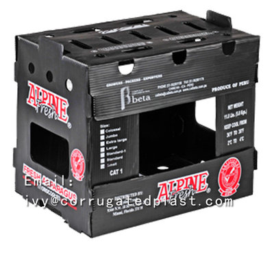 Folding vegetable packaging plastic box PP corrugated plastic fruit box