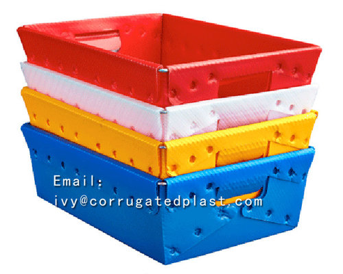Folding vegetable packaging plastic box PP corrugated plastic fruit box
