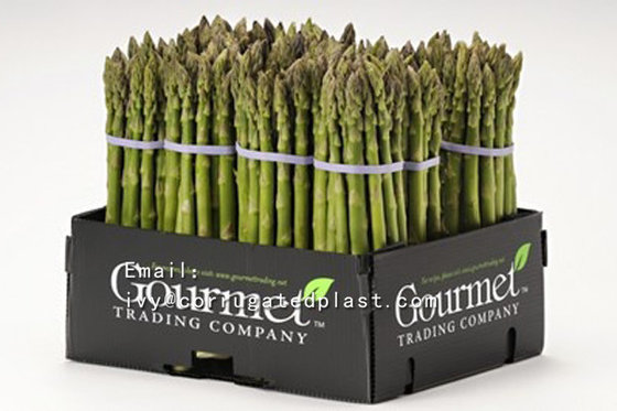 Custom printing corrugated packaging boxes plastic vegetables fruit box