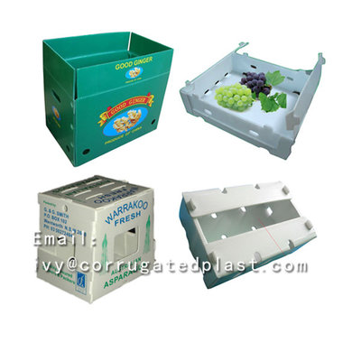 Customized flute pp plastic boxes for vegetable packing