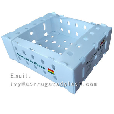 Customized flute pp plastic boxes for vegetable packing