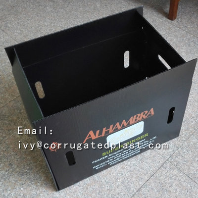 PP Polypropylene Fruit and Vegetable Packing Box with Printing