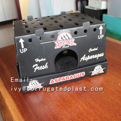 PP Polypropylene Fruit and Vegetable Packing Box with Printing