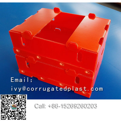 Foldable pp corrugated sheet plastic vegetable box storage