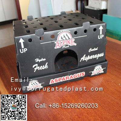 Fruit and Vegetables Corrugated Plastic Packaging Box