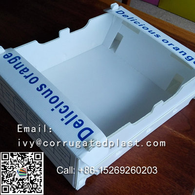 Fruit and Vegetables Corrugated Plastic Packaging Box
