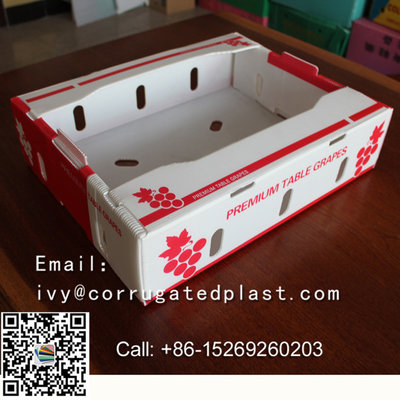 Fruit and Vegetables Corrugated Plastic Packaging Box