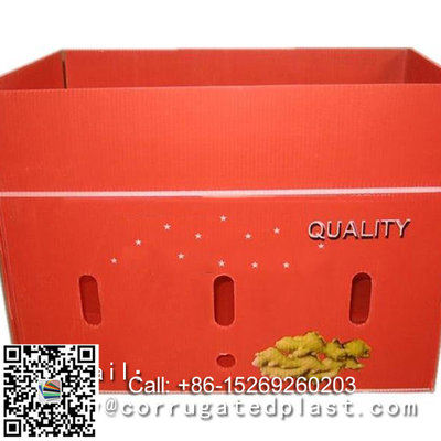 Food Quality Plastic Fruit /vegetable Storage Corrugated Box
