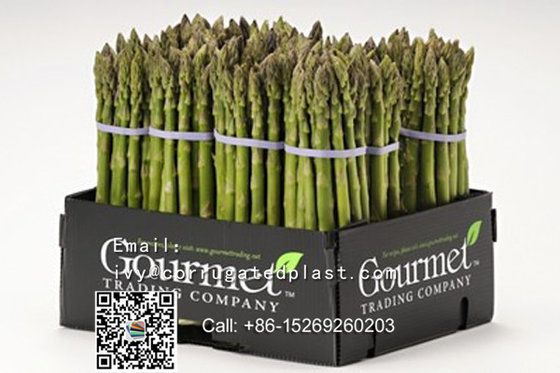 Food Quality Plastic Fruit /vegetable Storage Corrugated Box