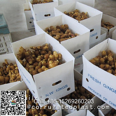 Food Quality Plastic Fruit /vegetable Storage Corrugated Box