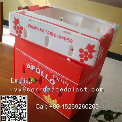 Food Quality Plastic Fruit /vegetable Storage Corrugated Box