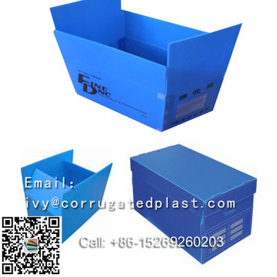 Risen best price diverse pattern plastic vegetable boxes,gift boxes,fresh mushroom packing box