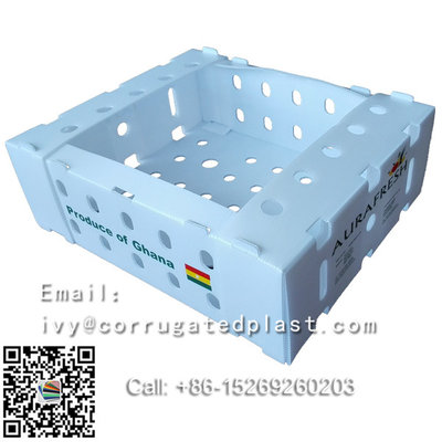 Pp Plastic Corrugated Fruit /Vegetable Packaging box