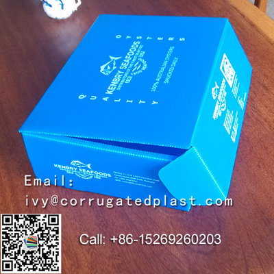 Pp Plastic Corrugated Fruit /Vegetable Packaging box