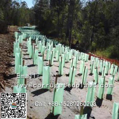 Recycled Corrugated Plastic Corflute Tree Guards/PP crrox tree guard