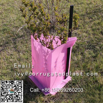 pp plastic tree guard/450mm corflute tree guard/Durable pp material fluted plastic tree guard