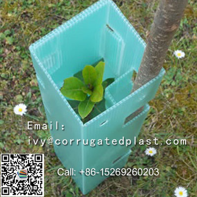 Sunshine resistance anti-UV pp hollow corrugated tree guard and corflute plastic tree protectors shelter