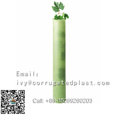 exported pp corrugated plastic tree guards to UK