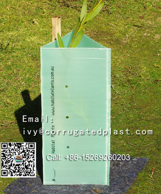 exported pp corrugated plastic tree guards to UK