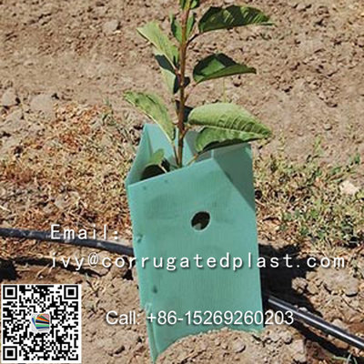 Best sale customize outdoor recyclable waterproof PP Corrugated Corflute plastic Tree Sleeves Coroplast tree guard