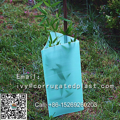Best sale customize outdoor recyclable waterproof PP Corrugated Corflute plastic Tree Sleeves Coroplast tree guard