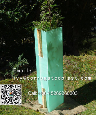 Best sale customize outdoor recyclable waterproof PP Corrugated Corflute plastic Tree Sleeves Coroplast tree guard