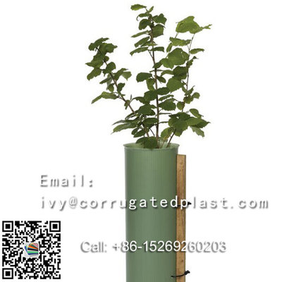 UV Resistance PP Correx Sheet Corflute Tree Guard