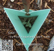PP Plastic Hollow Tree Guard manufacturer/Polypropylene Plastic Corrugated Roll/Corflute Plastic Tree Guards