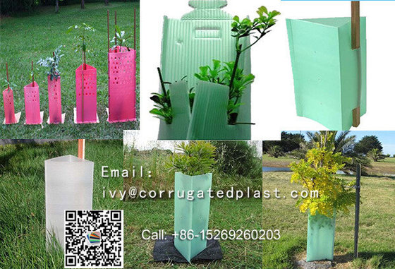PP Plastic Hollow Tree Guard manufacturer/Polypropylene Plastic Corrugated Roll/Corflute Plastic Tree Guards