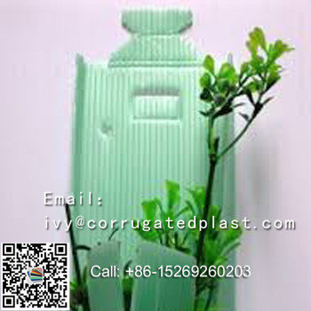 PP Plastic Hollow Tree Guard manufacturer/Polypropylene Plastic Corrugated Roll/Corflute Plastic Tree Guards