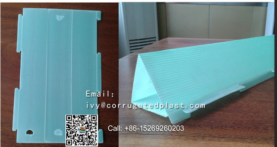 PP Plastic Hollow Tree Guard manufacturer/Polypropylene Plastic Corrugated Roll/Corflute Plastic Tree Guards