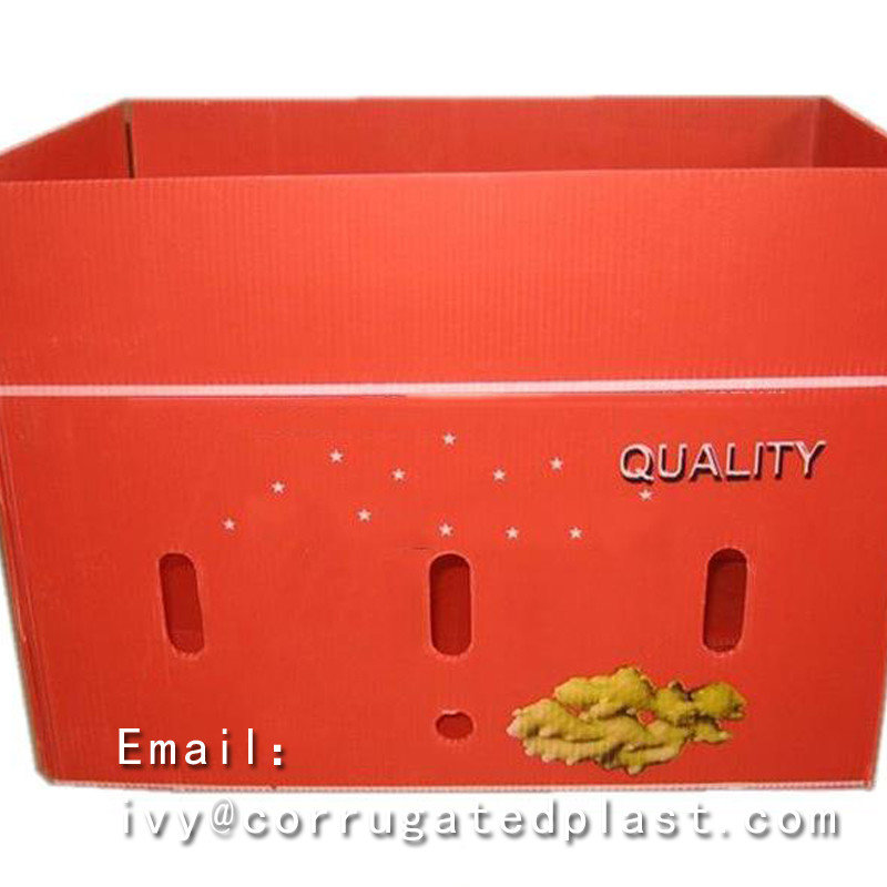 Fruit and vegetable corrugated plastic box ,fluted pp box ,twinwall pp box