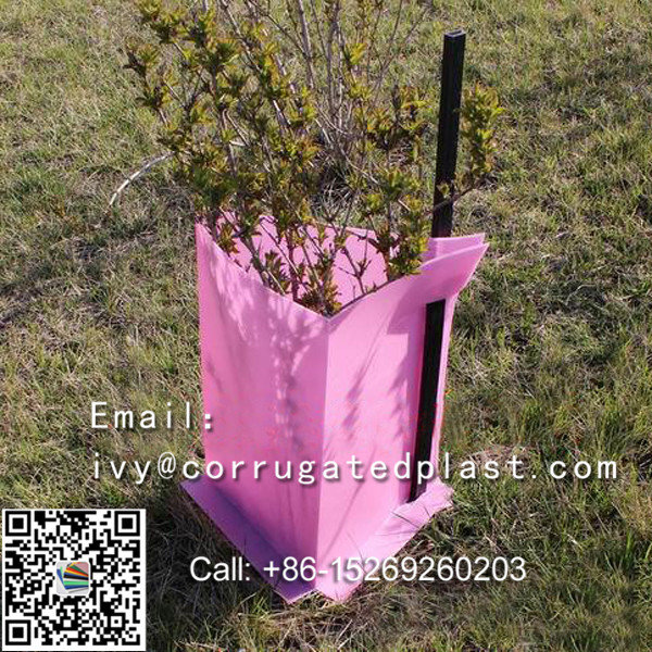 wind proof air vent young plant protect Corflute plastic PP corrugated tree guards