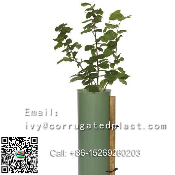 High quality PP hollow sheet corrugated plastic sheet for tree guards outdoors