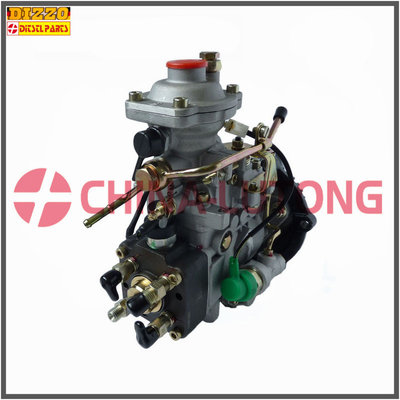 Diesel Fuel Injection Pump 11F1900L005-VE pump supplier