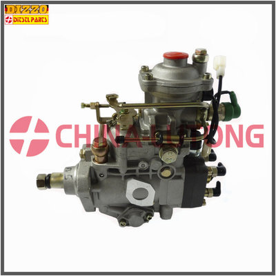 ve Pumps-Diesel Injection Pump with turbo charge 12E1650R005 supplier