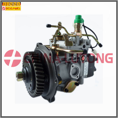 VE Injection Pump-Diesel Injection Pump 11F1900LNJ03 supplier