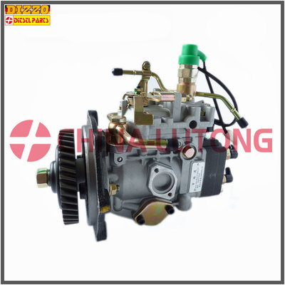 VE Injection Pump-Diesel Injection Pump 11F1900LNJ03 supplier