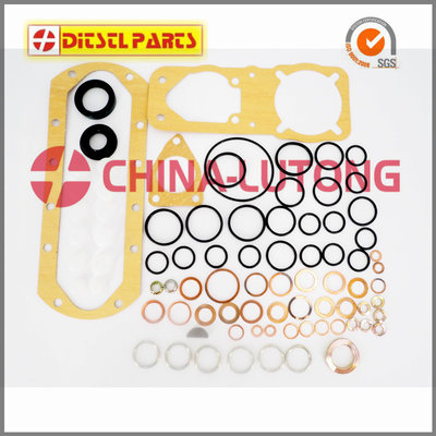 Repair Kits for VE pump-Toyota Fuel Injector Rebuild Kit supplier