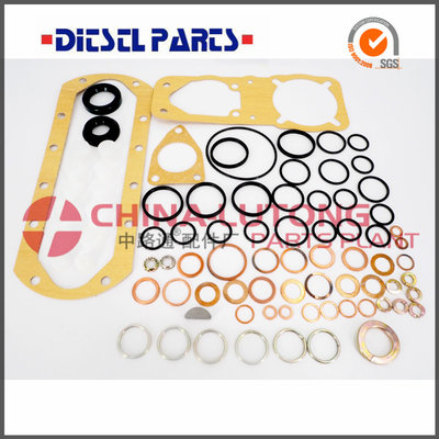 Repair Kits for VE pump-Toyota Fuel Injector Rebuild Kit supplier