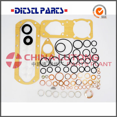 Repair Kits for VE pump-Toyota Fuel Injector Rebuild Kit supplier