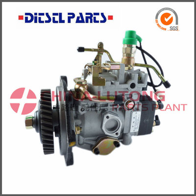 Ve Injection Pump for Diesel Engine Jx493q1 Gw4d28-Fuel Injection Pump supplier