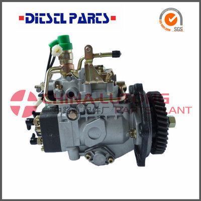 Ve Injection Pump for Diesel Engine Jx493q1 Gw4d28-Fuel Injection Pump supplier