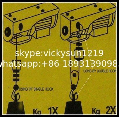 100KG-1000KG PA light weight mini electric hoist wire rope hoist 220V 110V single phase