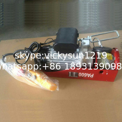 PA1000 mini electric hoist wire rope hoist 500kg 1000kg with emergency stop button