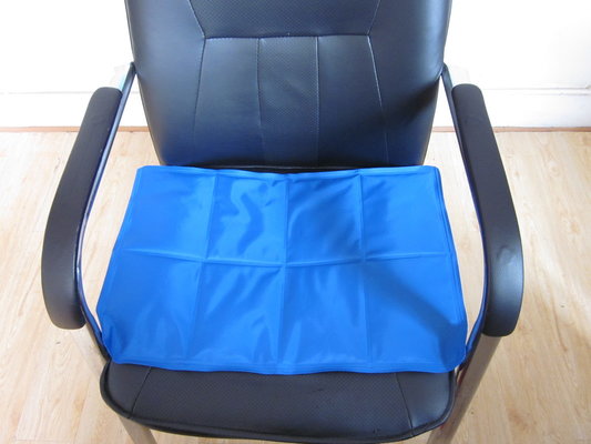 Waterproof Ice Mat for Dog Summer Gel Cushion Car Seat Cooling Pad Blue Nylon Bed Mattress