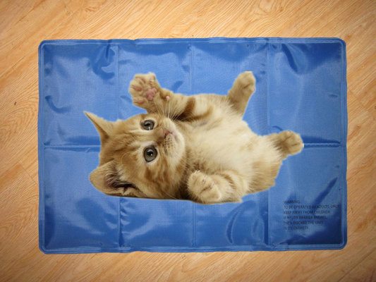 Kitten Summer Gel Mattress Self-Cooling Large Dogs Cats Pet Cool Blanket Sofa Breathable Pet Washable Cushion Mat Bule