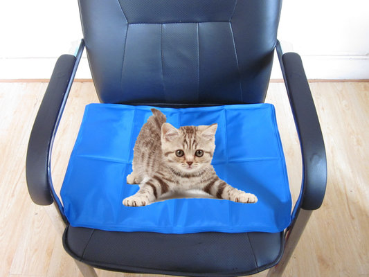 Kitten Summer Gel Mattress Self-Cooling Large Dogs Cats Pet Cool Blanket Sofa Breathable Pet Washable Cushion Mat Bule