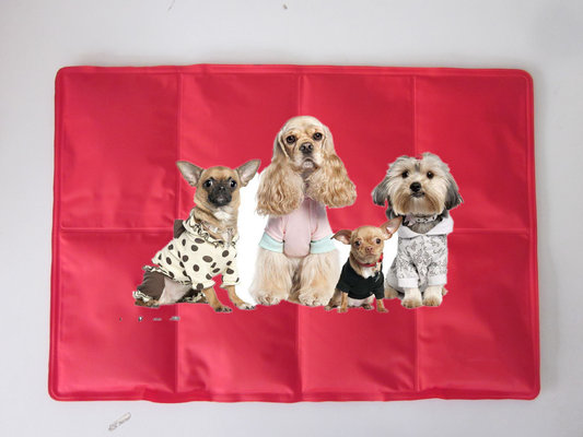 Kitten Summer Gel Mattress Self-Cooling Large Dogs Cats Pet Cool Blanket Sofa Breathable Pet Washable Cushion Mat Bule